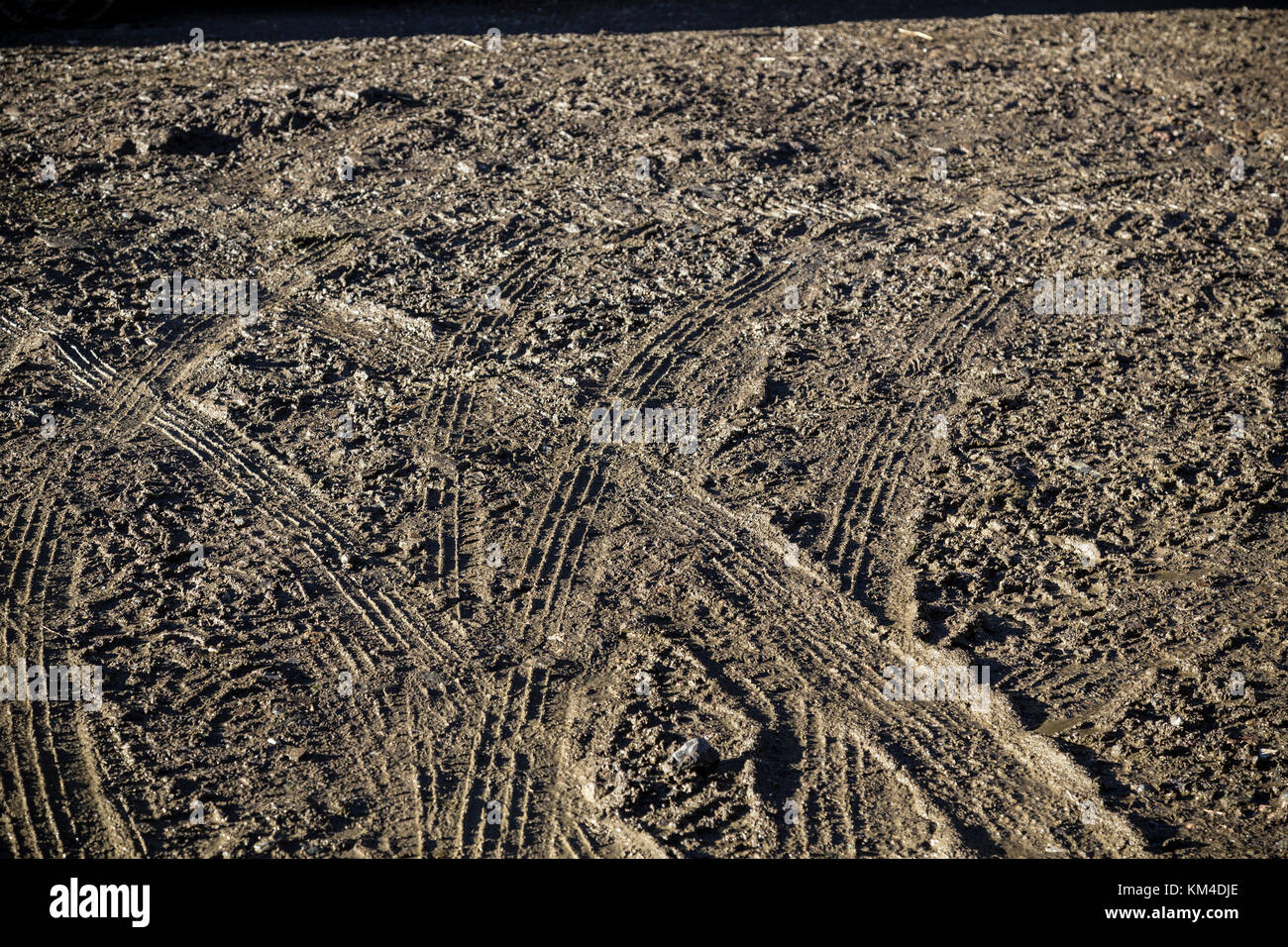 Farmyard,agricultural building usually on farms and used for various ...