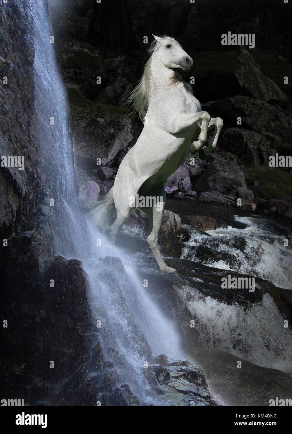 Horse waterfall hi-res stock photography and images - Alamy