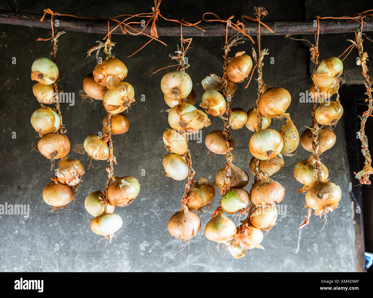 onions hung to dry Stock Photo - Alamy
