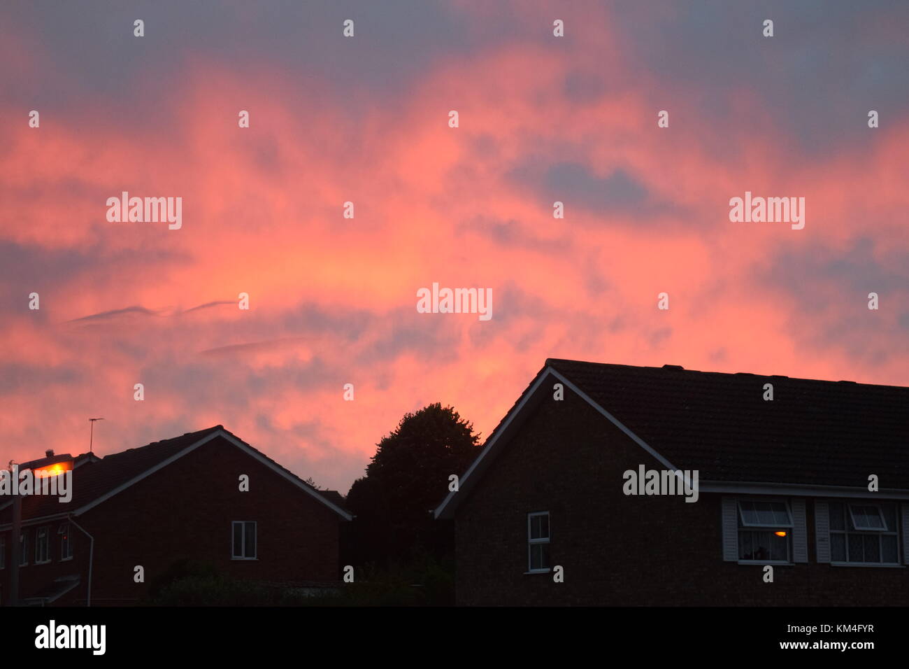 Pink and purple sunset over houses on my street Stock Photo - Alamy