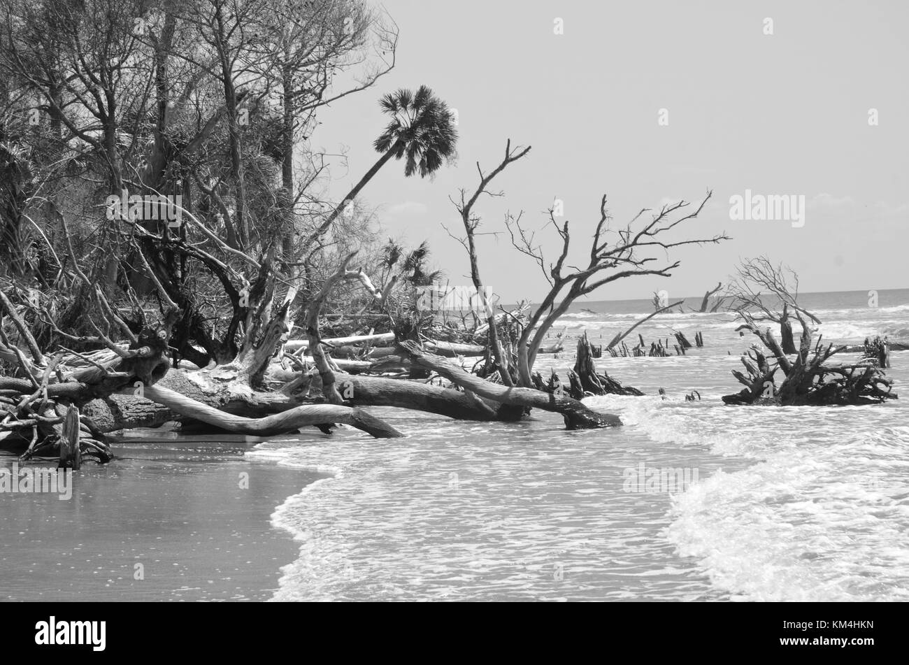 ImageSCape Pictures Do not reproduce or alter without written ...