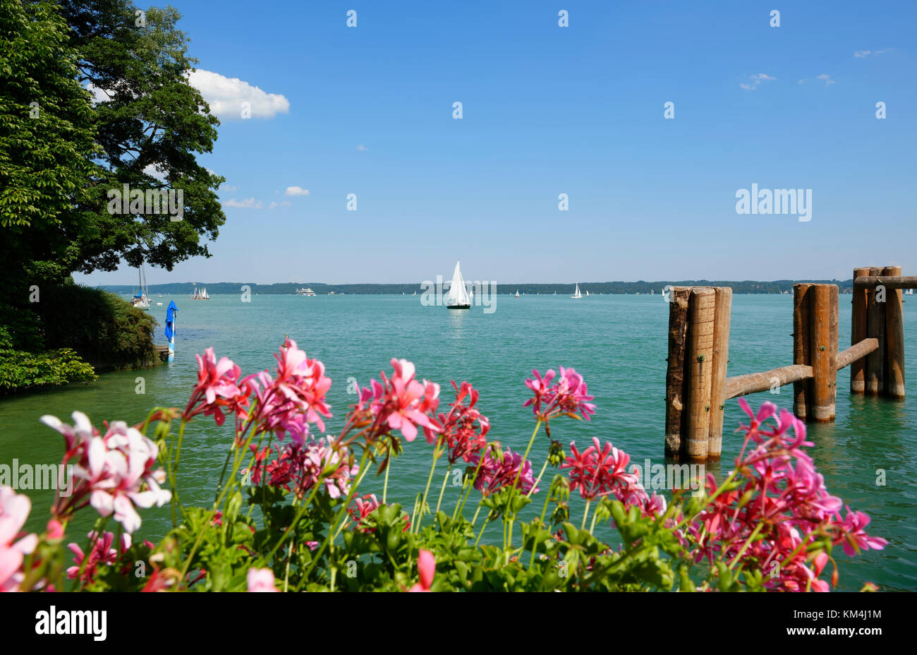 Starnberger See bei Tutzing, Fünfseenland, Oberbayern, Bayern, Deutschland, Europa Stock Photo ...