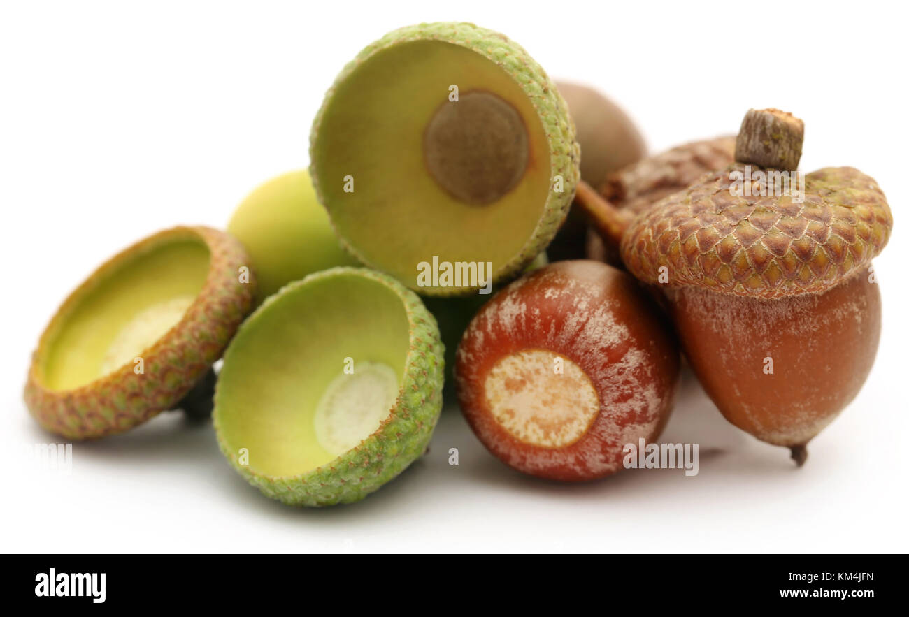 Nut closeup hi-res stock photography and images - Alamy