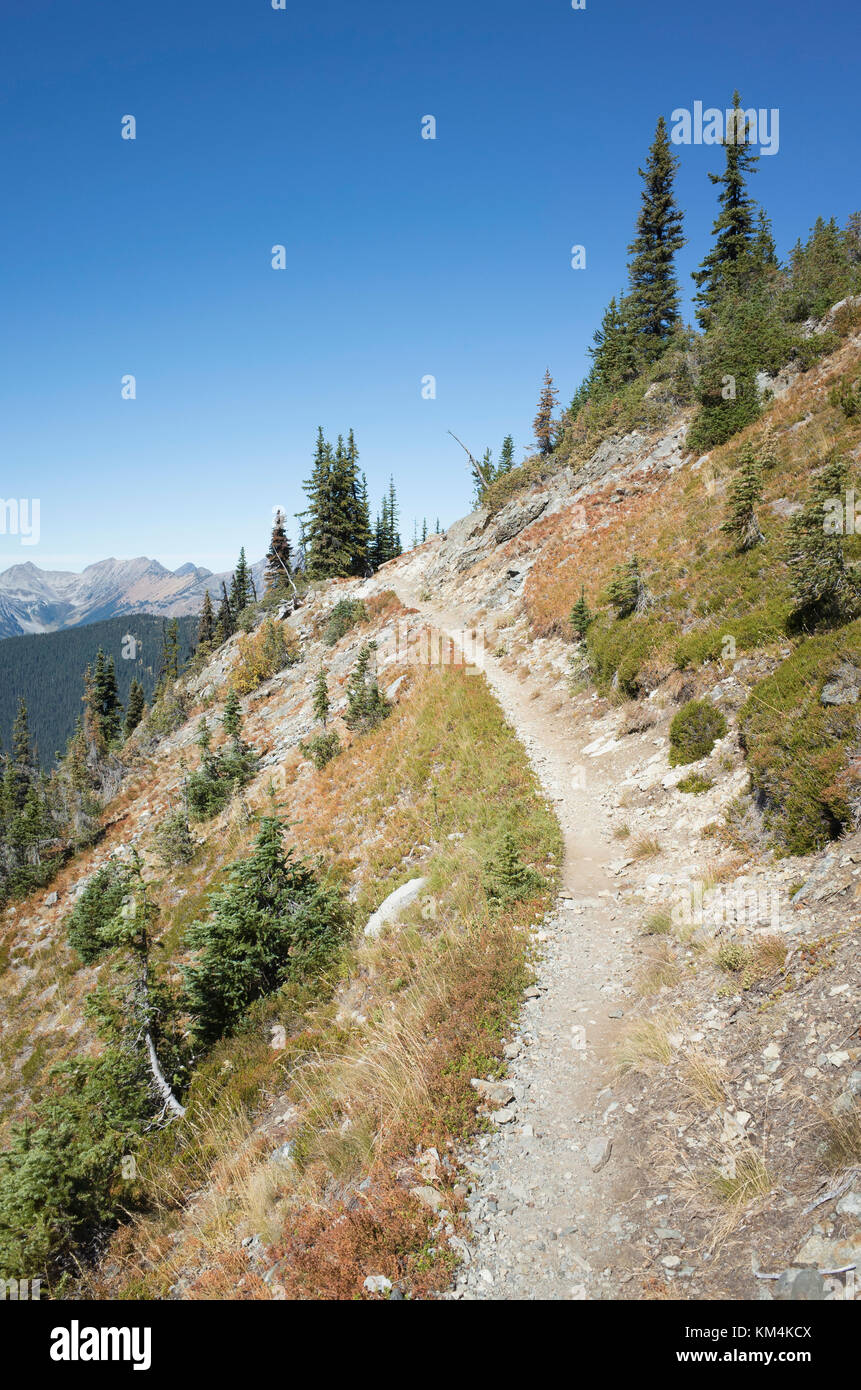 Harts pass washington hi-res stock photography and images - Alamy