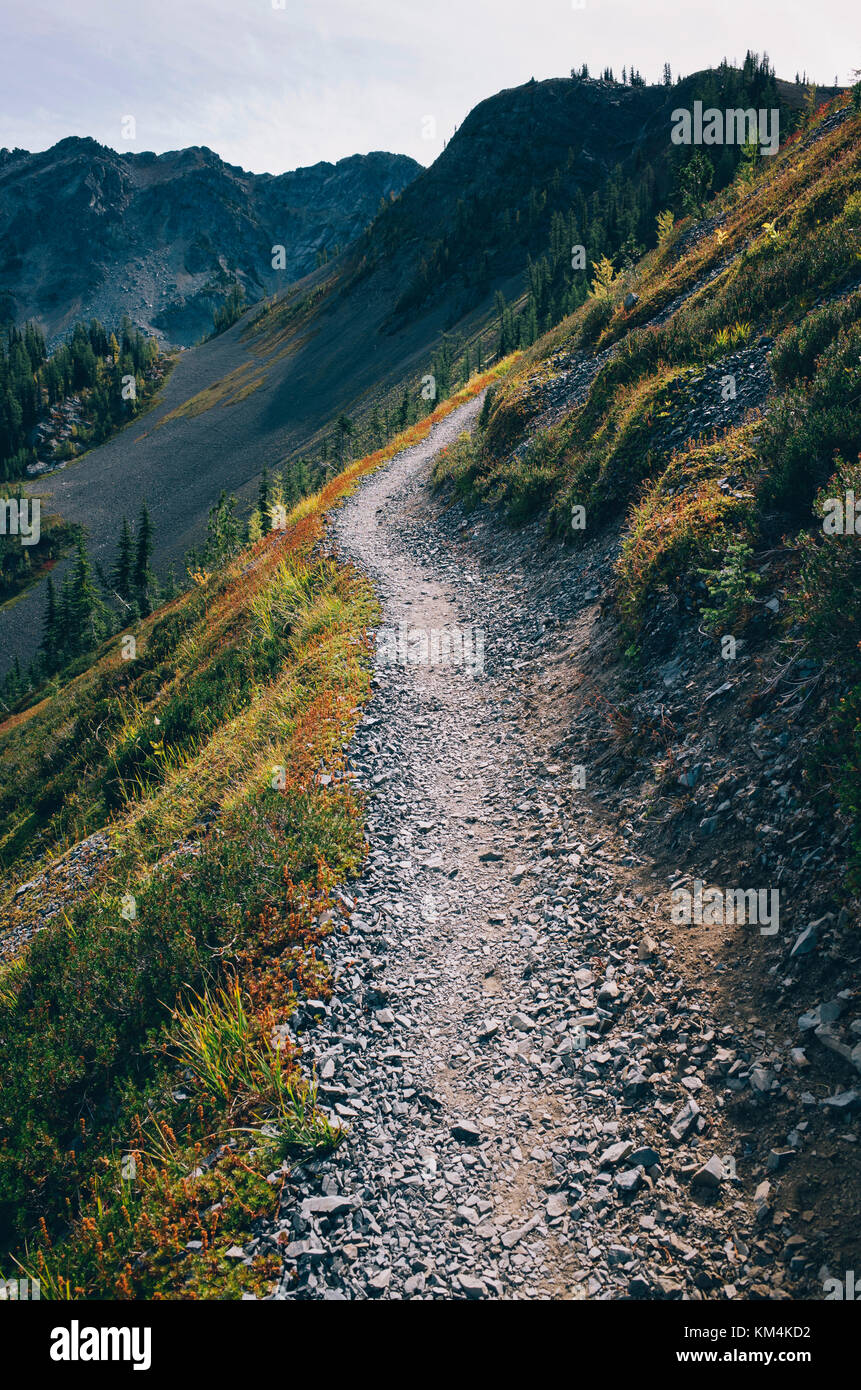 Hiking trail in the North Cascades, Pacific Crest Trail through ...