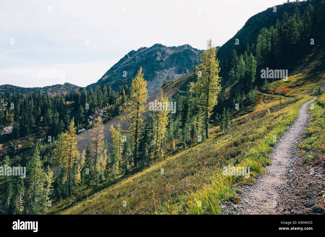 Hiking trail in the North Cascades, Pacific Crest Trail through ...