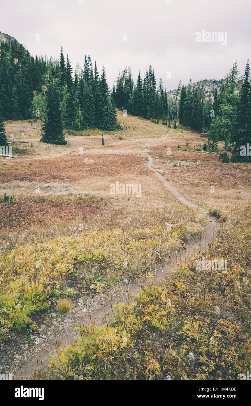 Hiking trail in the North Cascades, Pacific Crest Trail through ...