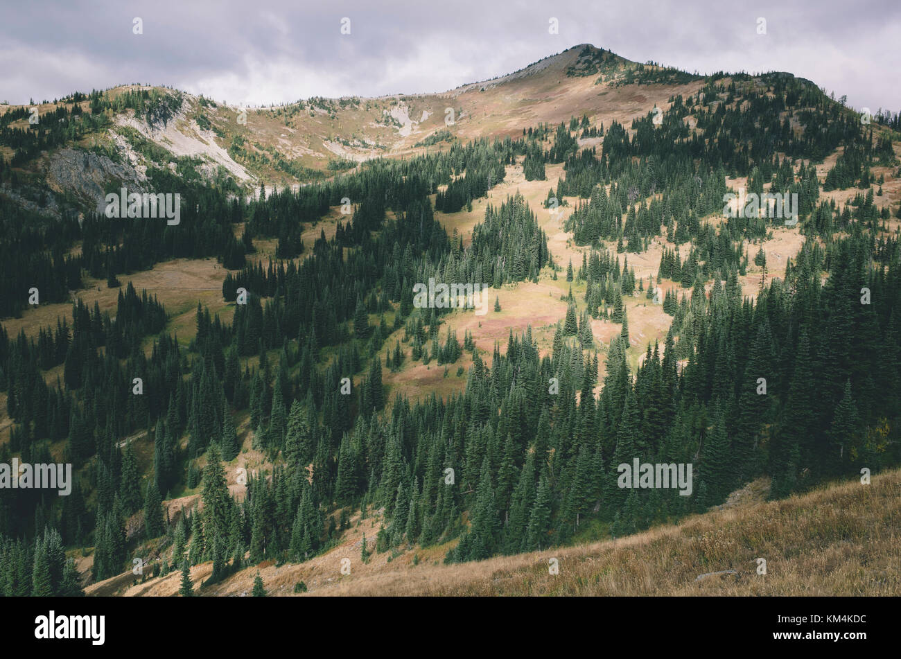 Fall in the North Cascades, near Harts Pass, Pasayten Wilderness ...