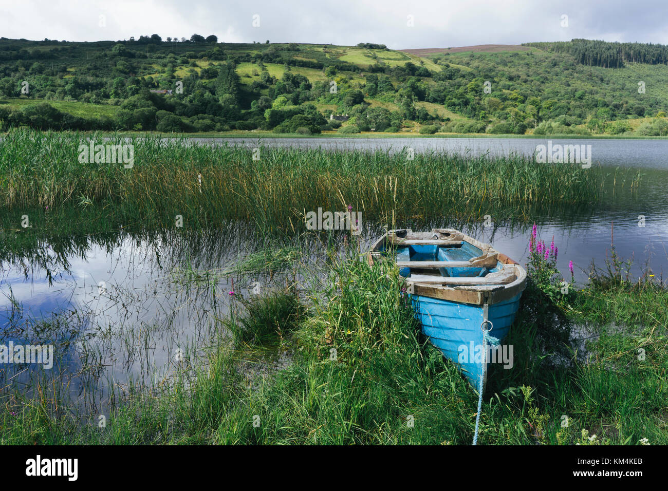 Blue wooden rowboat lying on the shore of Glenade Lake, Glenade, County ...