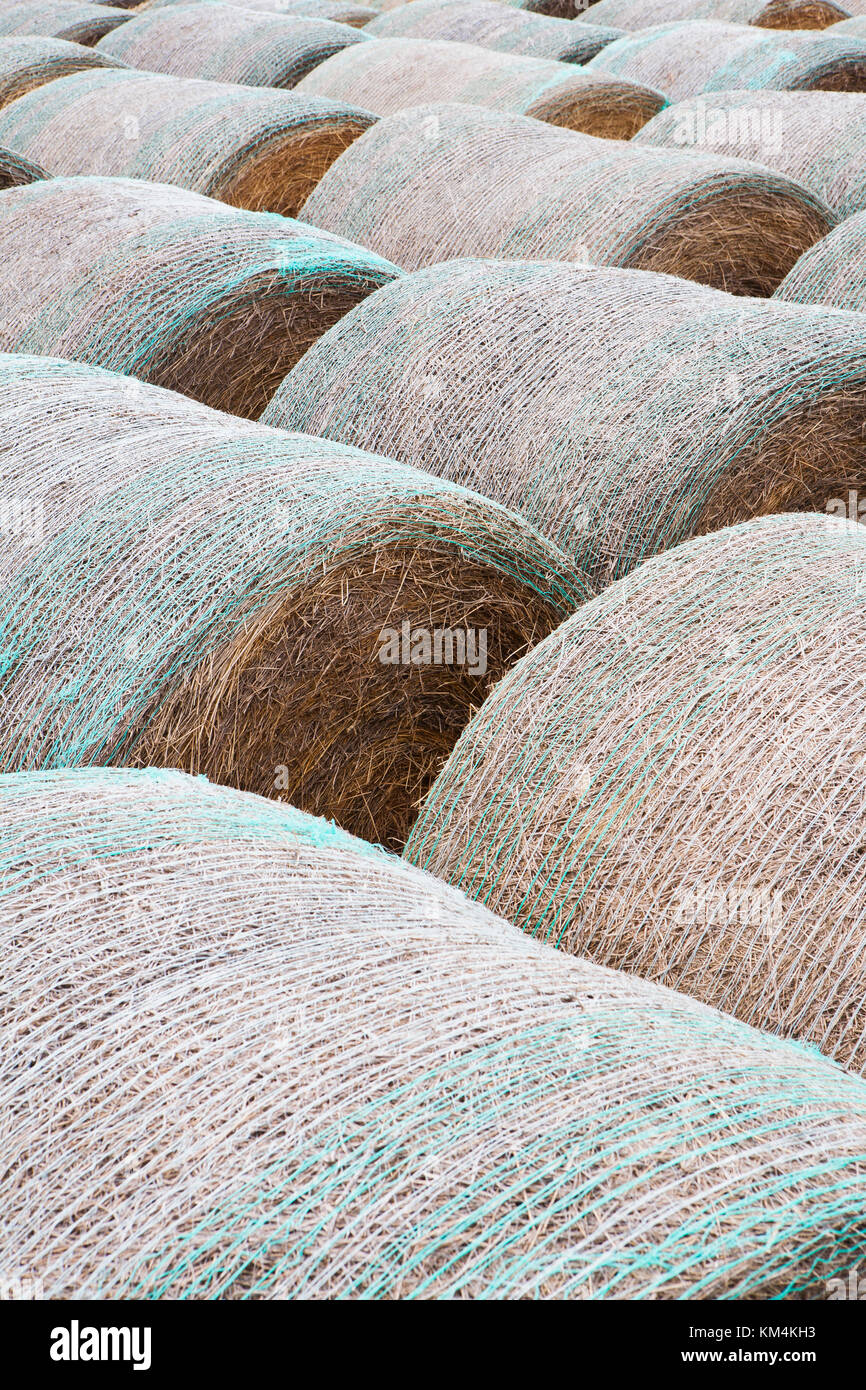 Wrapped round hay bales in neat rows on the prairie in Montana Stock ...