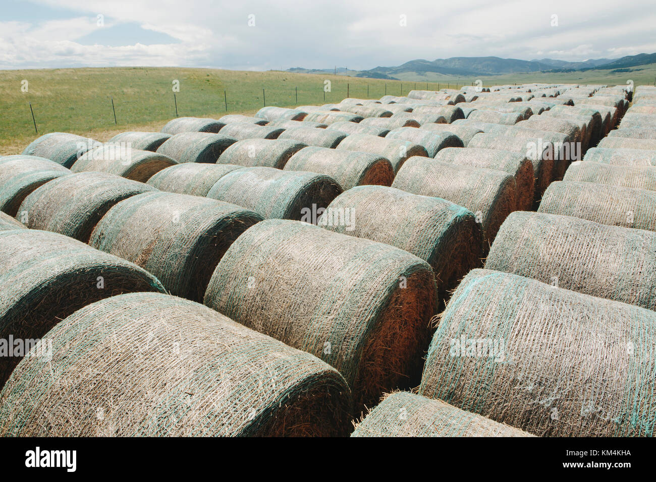 Wrapped round hay bales in neat rows on the prairie in Montana Stock ...