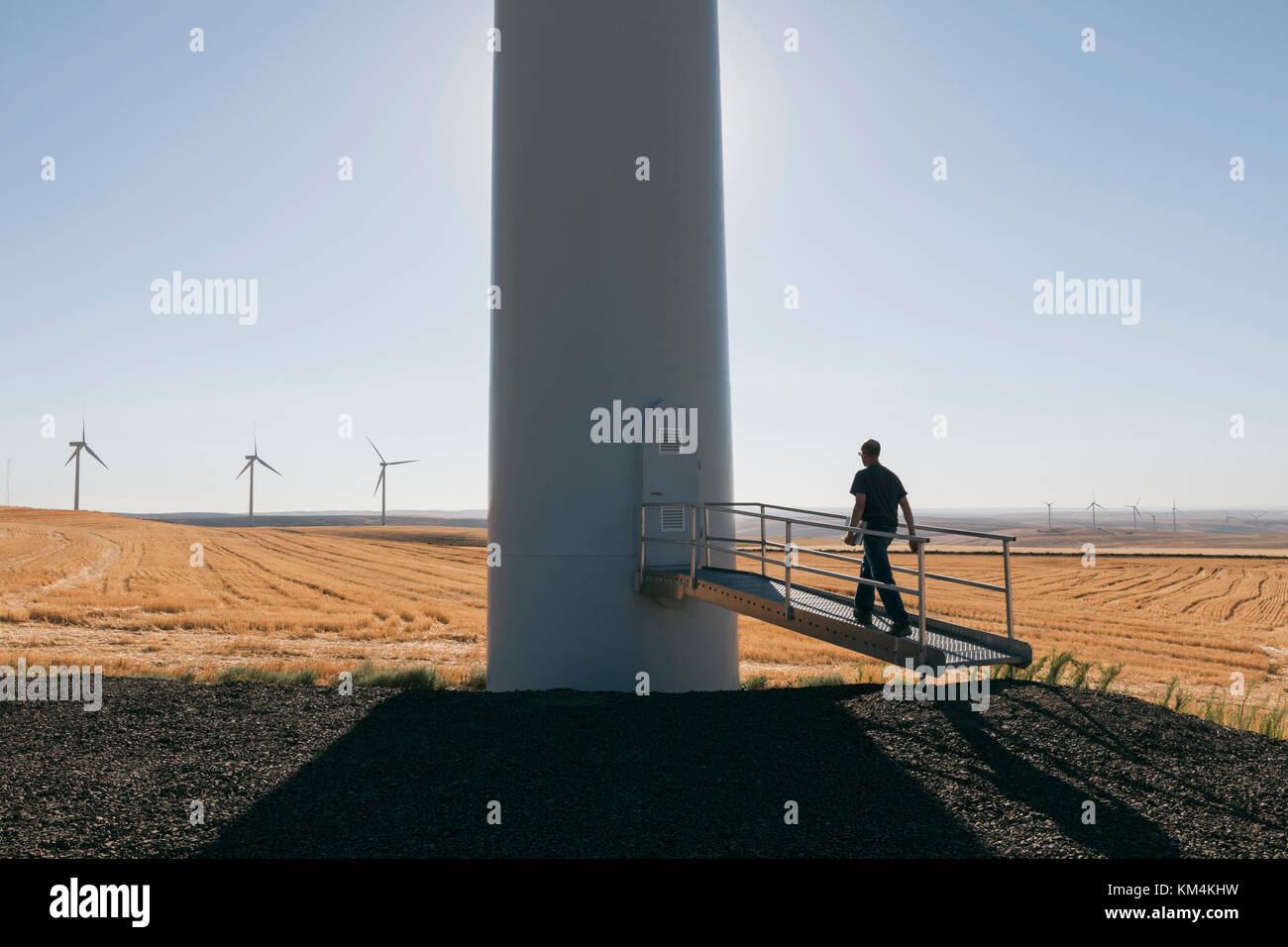 A wind farm technician standing and using a laptop at the base of a ...