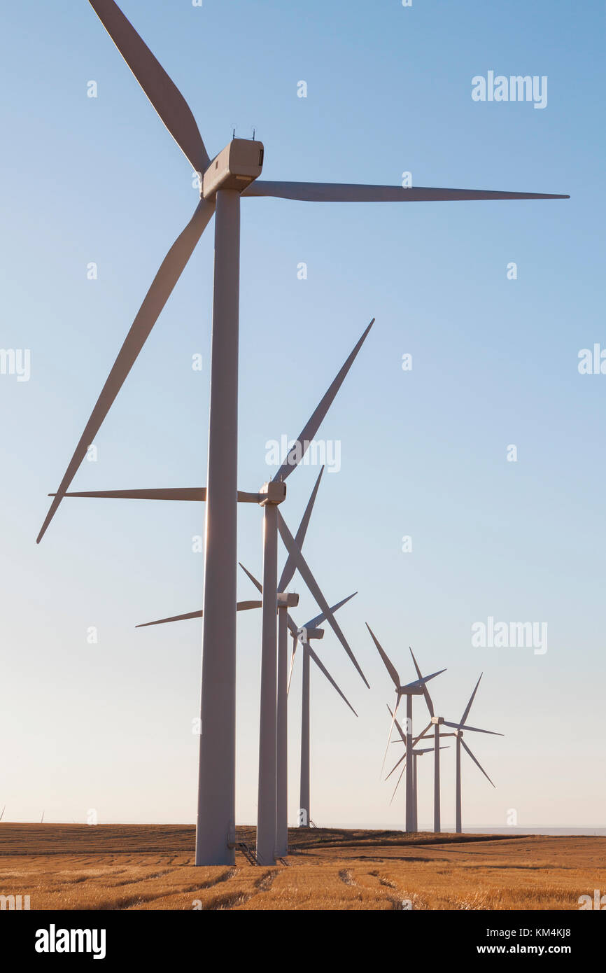 Tall wind turbines in open country farmland in Washington Stock Photo ...