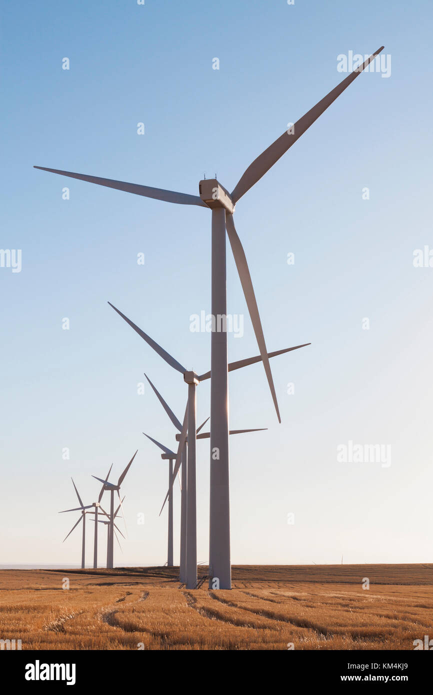 Tall wind turbines in open country farmland in Washington Stock Photo ...