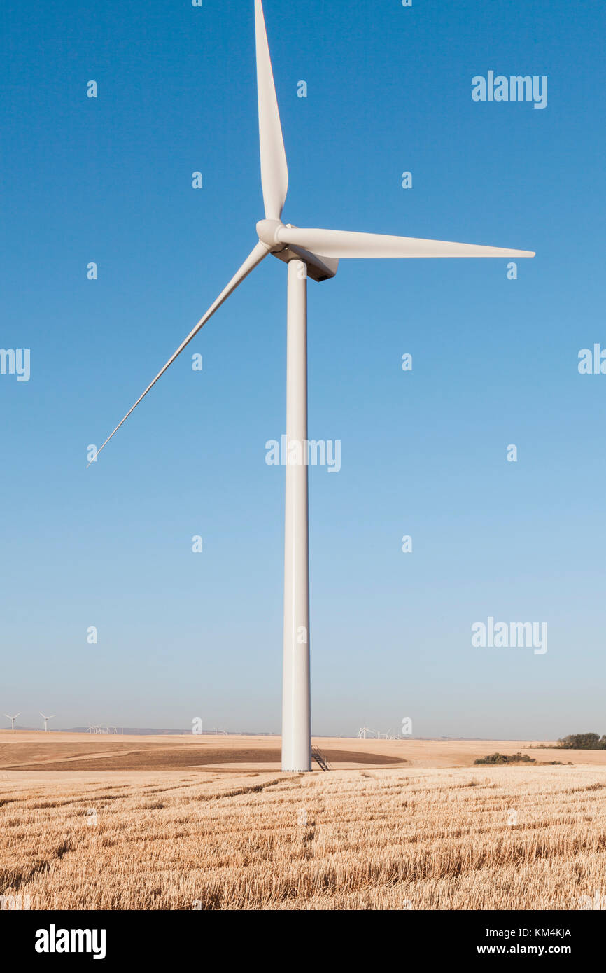 Tall wind turbines in open country farmland in Washington Stock Photo ...