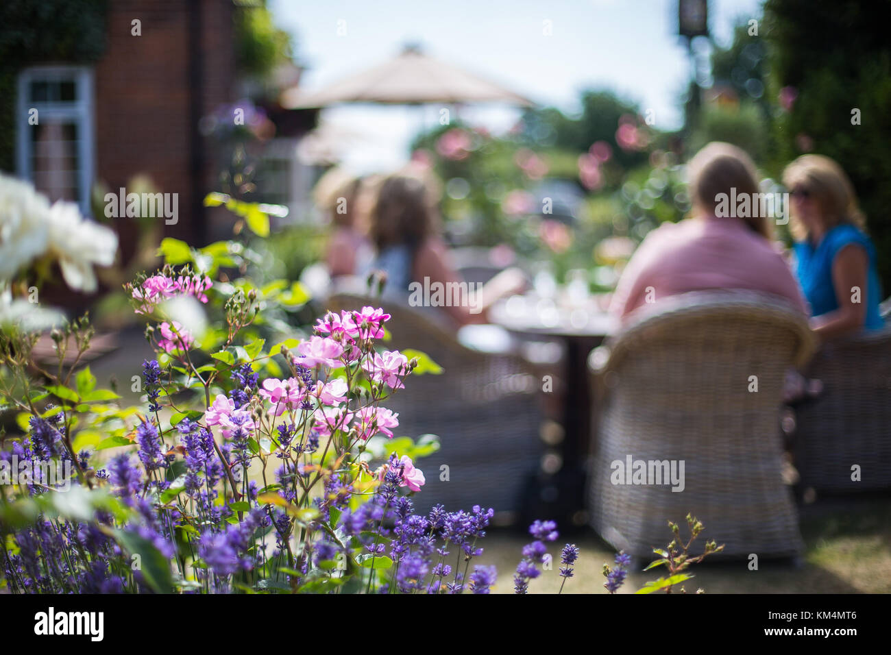 English pub garden in summer Stock Photo - Alamy