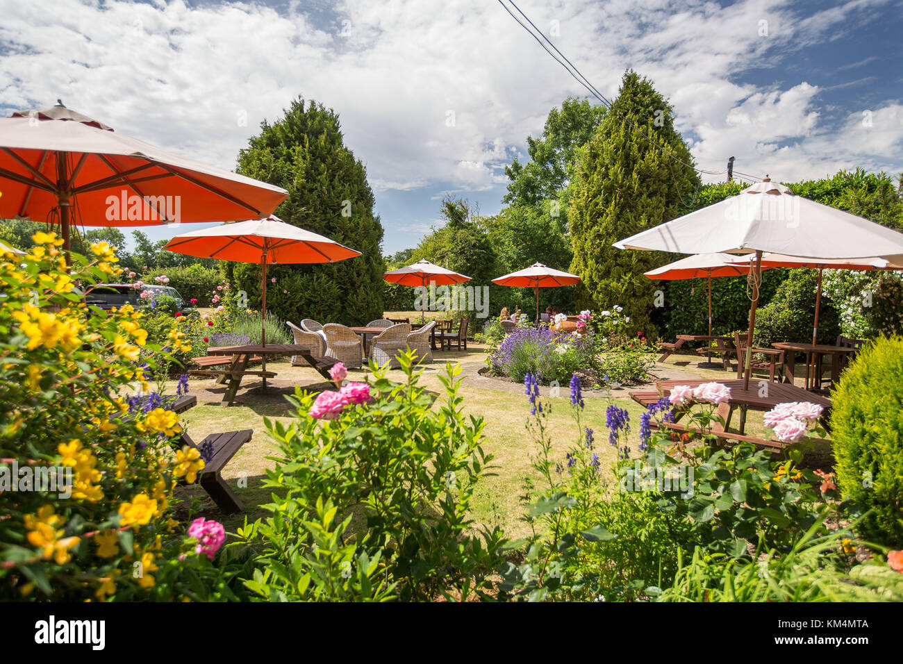English pub garden in summer Stock Photo - Alamy