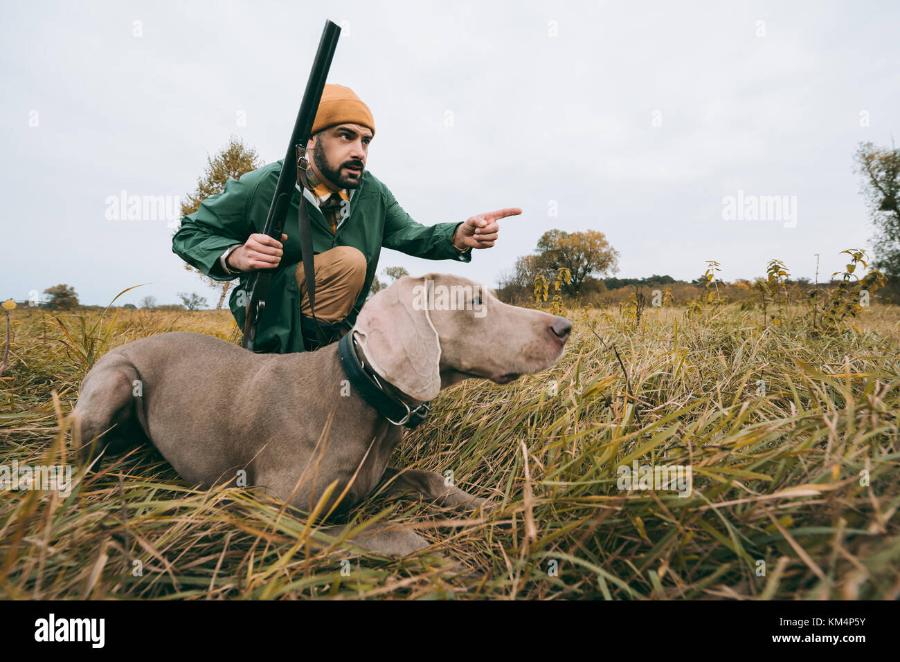 Animal skill hi-res stock photography and images - Alamy