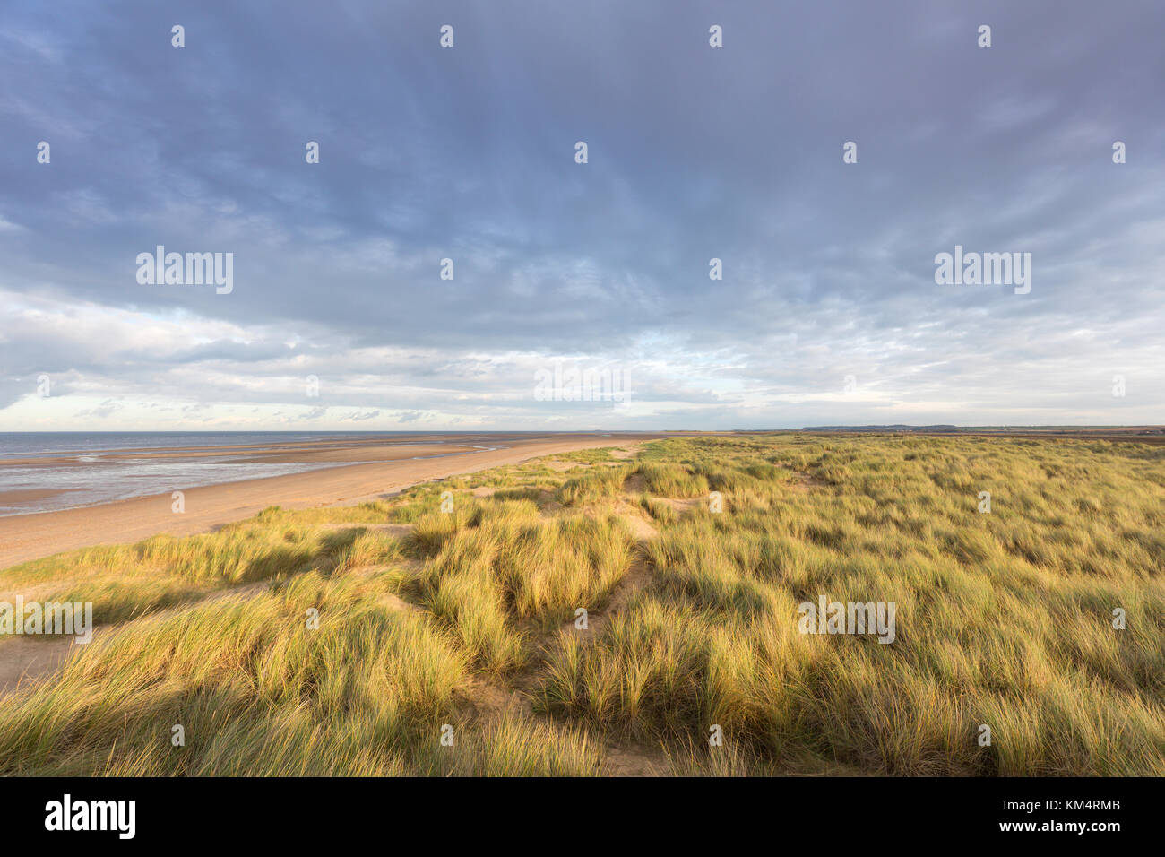 Holme next the sea hi-res stock photography and images - Alamy