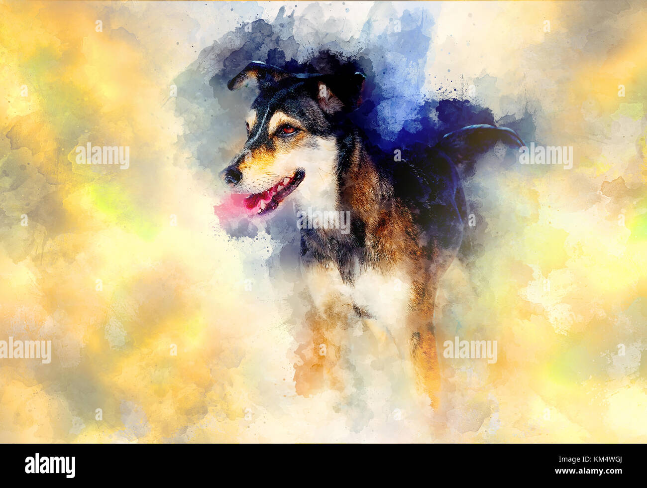 Dog and abstract background, Beautiful color spots structure Stock ...
