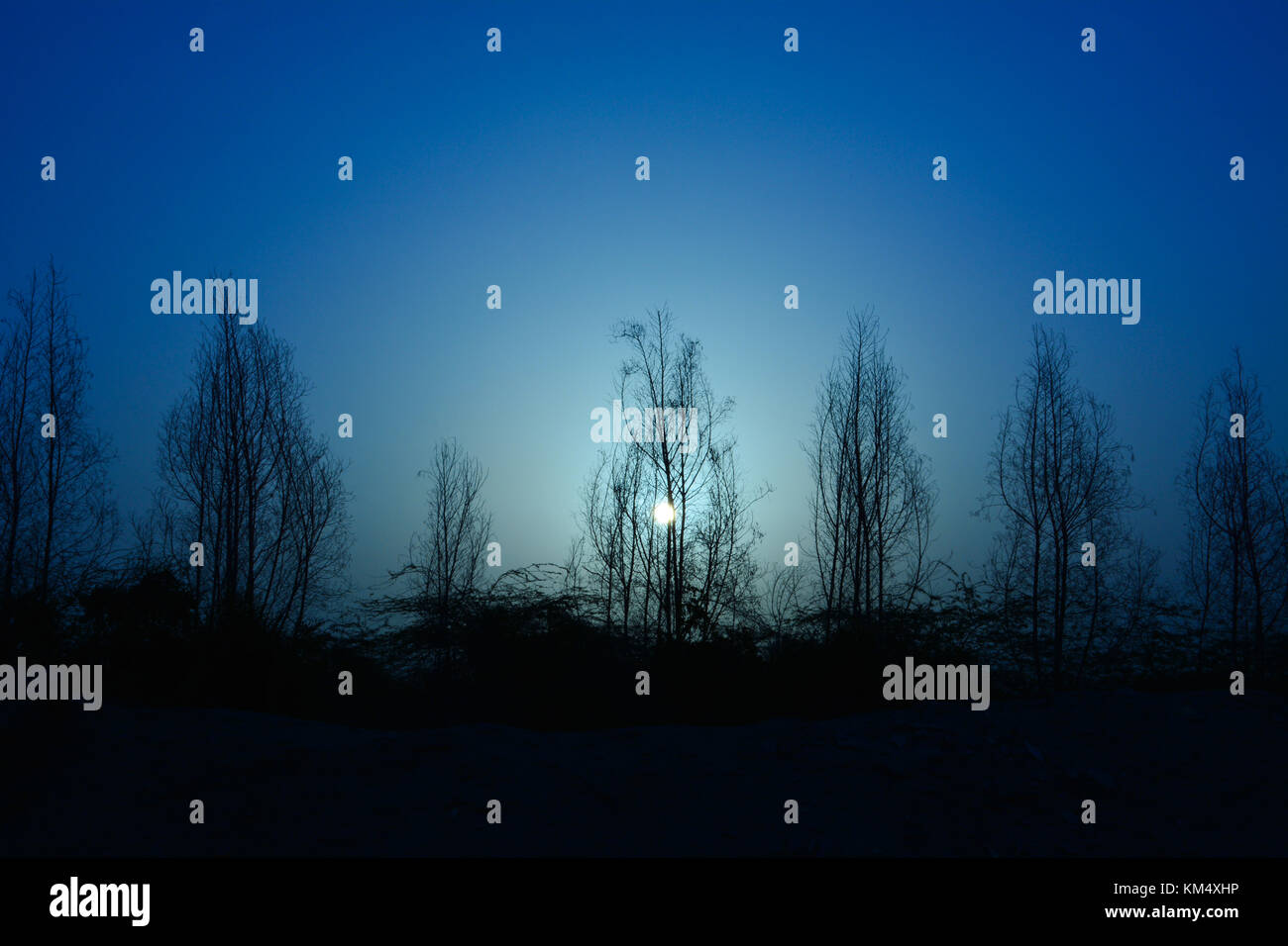 Beautiful night time silhouette hi-res stock photography and images - Alamy