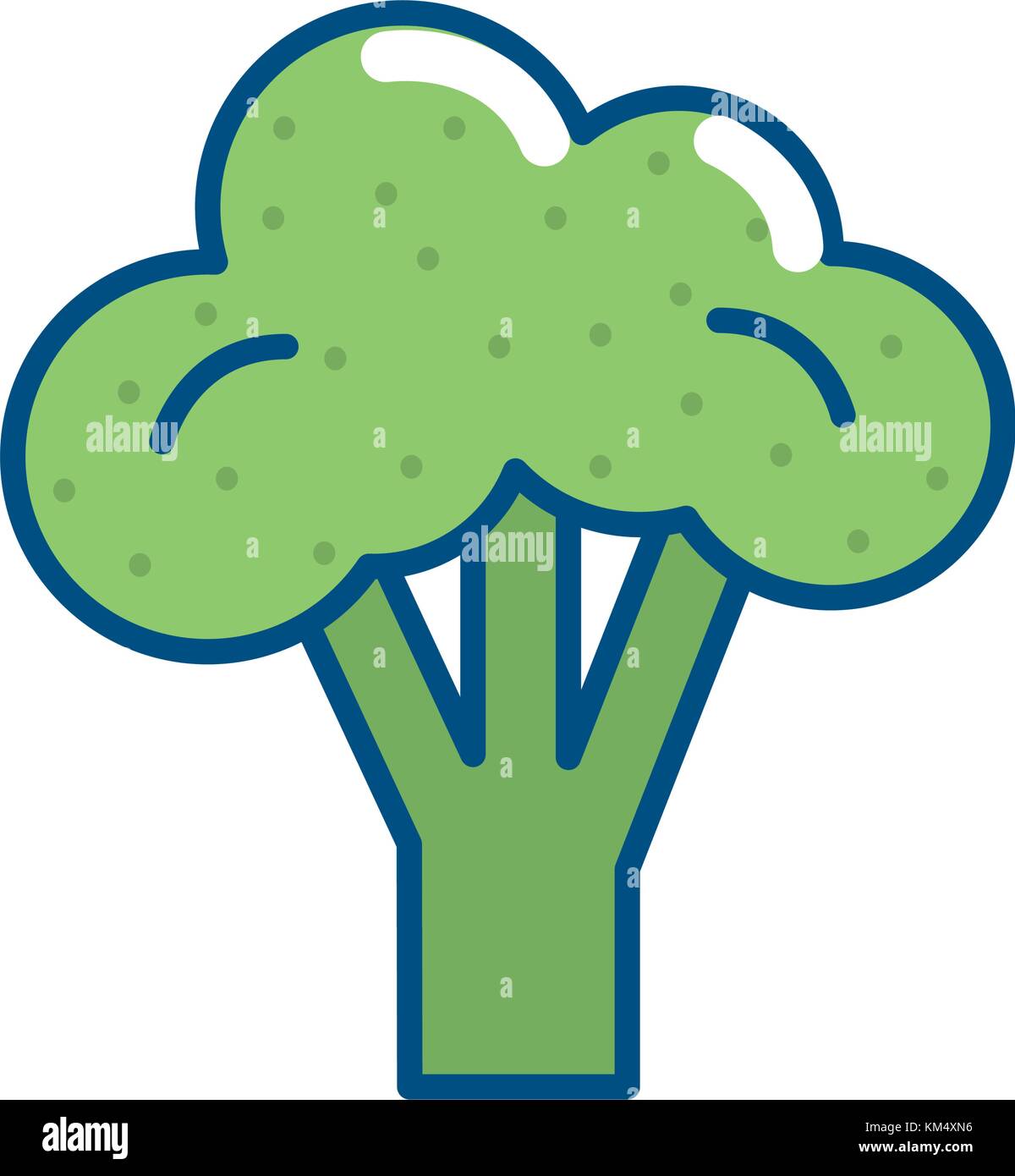 Isolated broccoli design Stock Vector Image & Art - Alamy