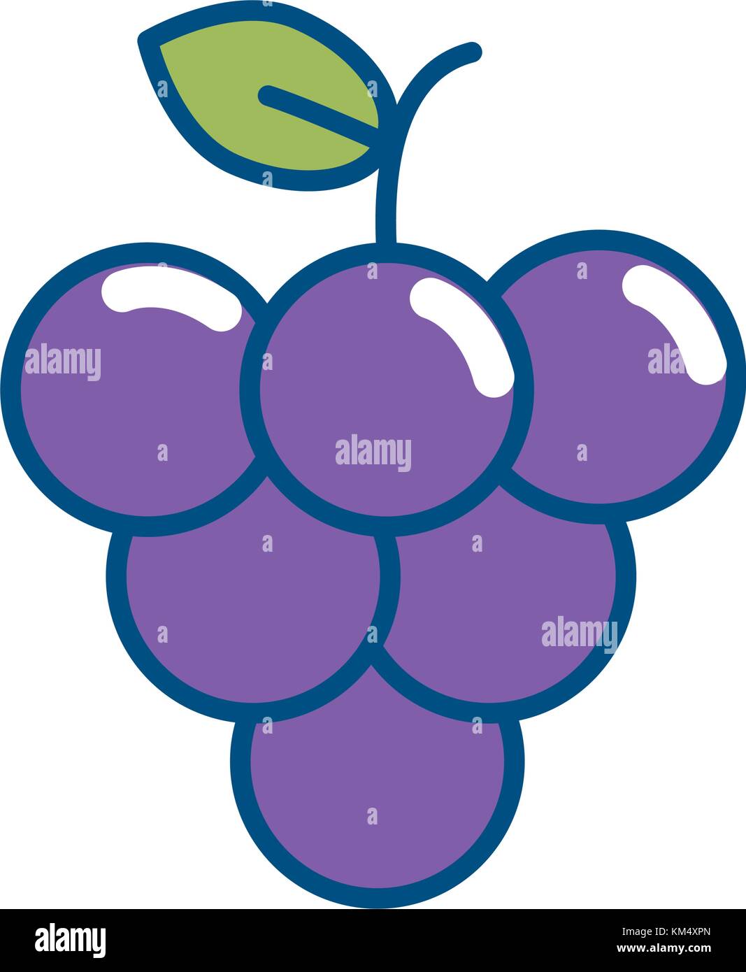 Isolated grapes design Stock Vector Image & Art - Alamy