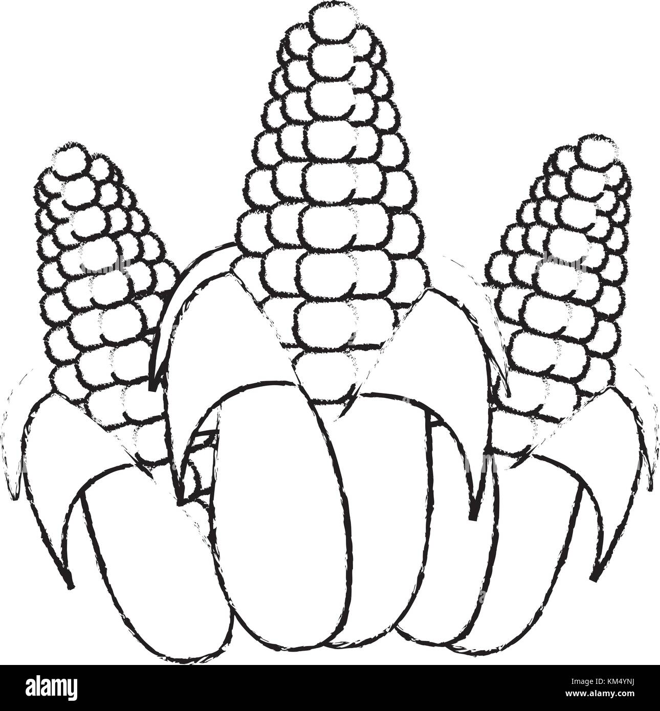 Isolated corn design Stock Vector Image & Art - Alamy