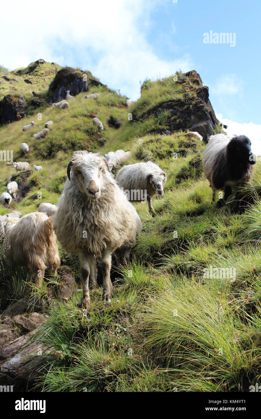 High up zoom in hi-res stock photography and images - Alamy