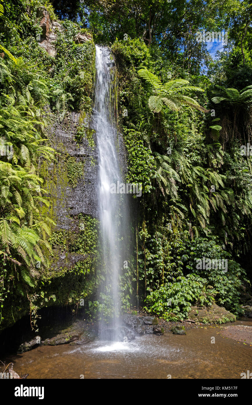 Benang Kelambu Waterfalls in tropical forest near the village Aik Berik ...