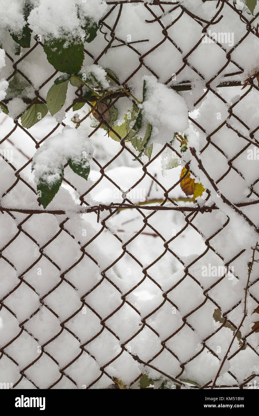The grid of metal slabs is covered with snow. Beautiful pattern and ...