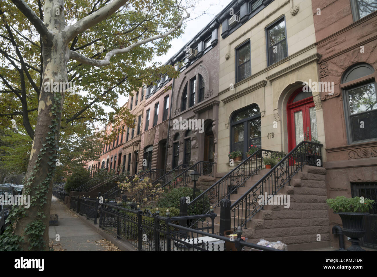 High stoop brownstones and limestones on a residential block in Park ...