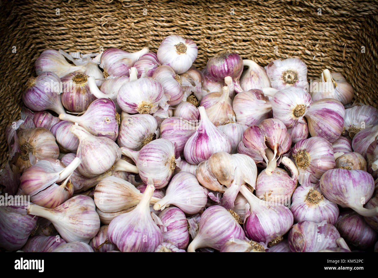 Garlic fair canada hi-res stock photography and images - Alamy