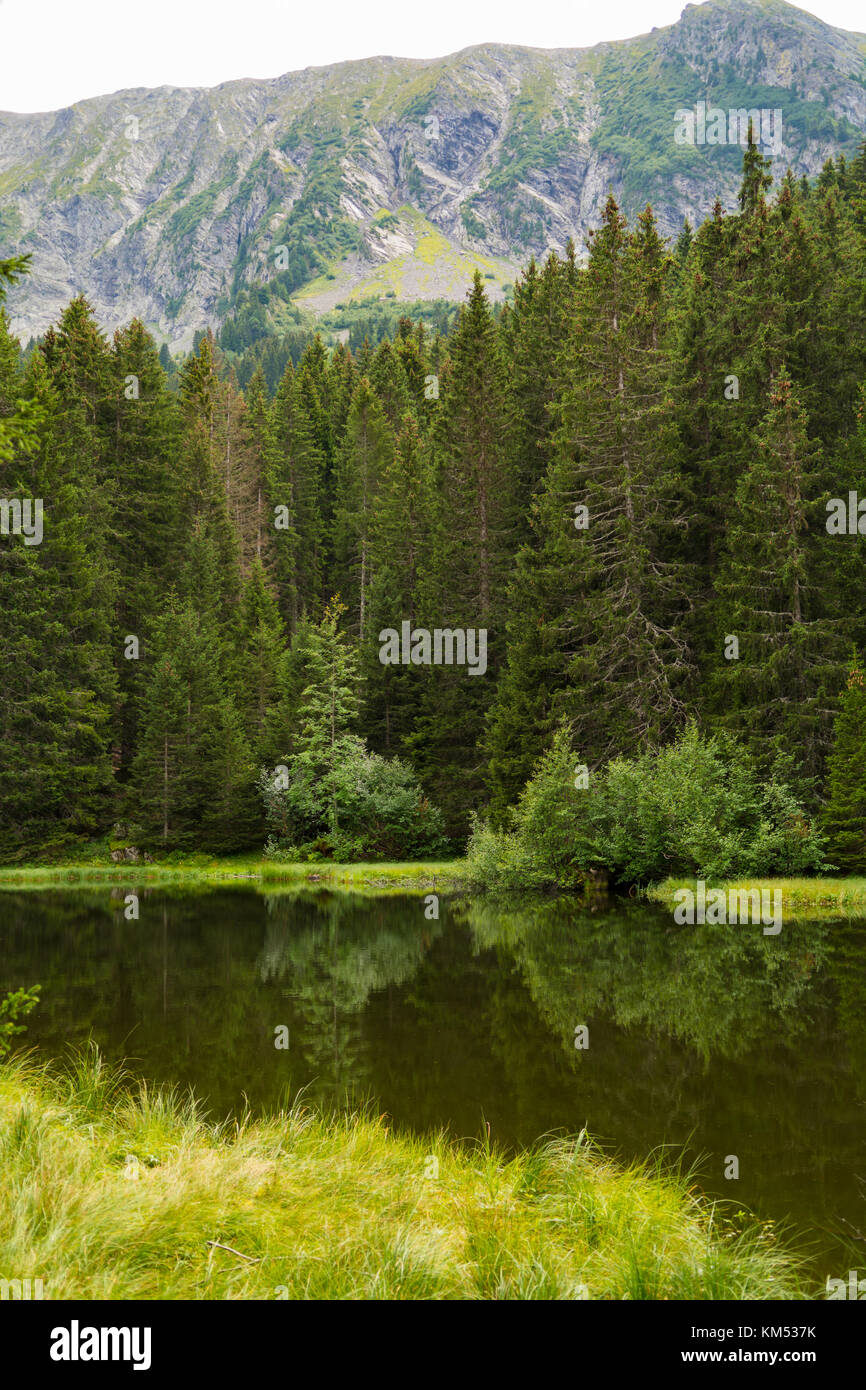 Small forest lake in Alpen mountains, place for walking, relaxation and ...