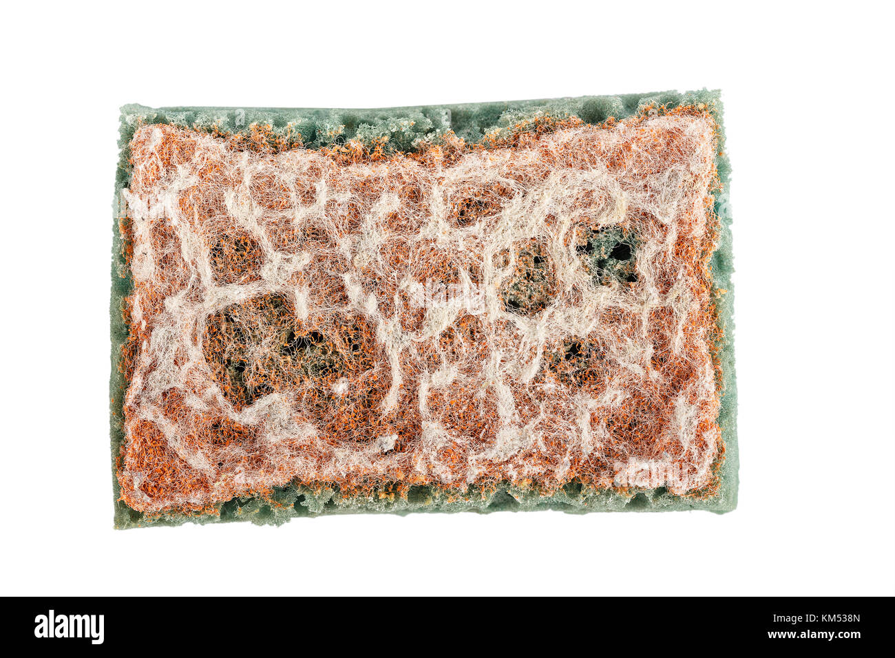 old dirty sponge for washing, isolated on white background Stock Photo ...