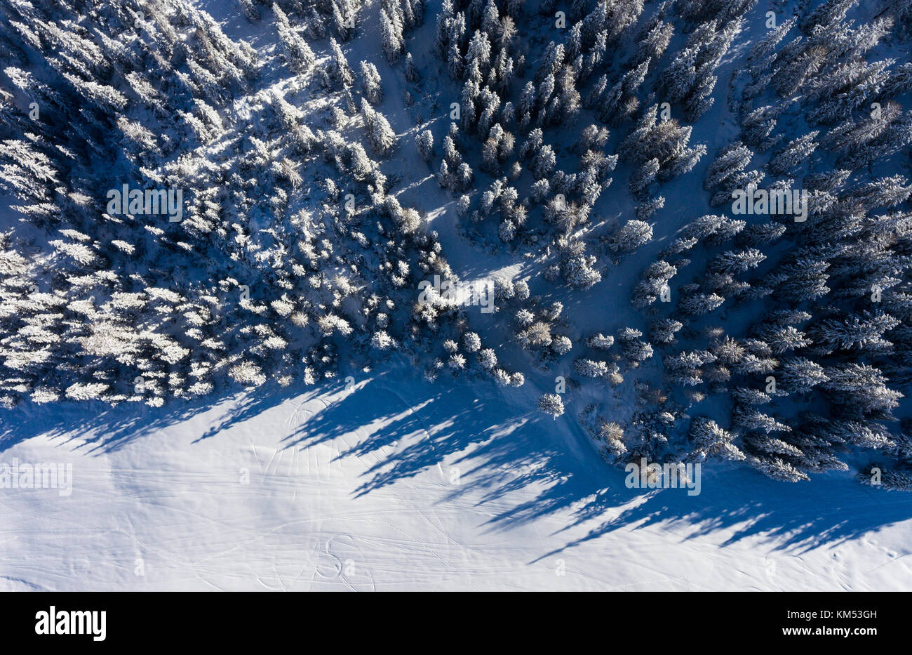 Trees covered snow frozen hi-res stock photography and images - Alamy