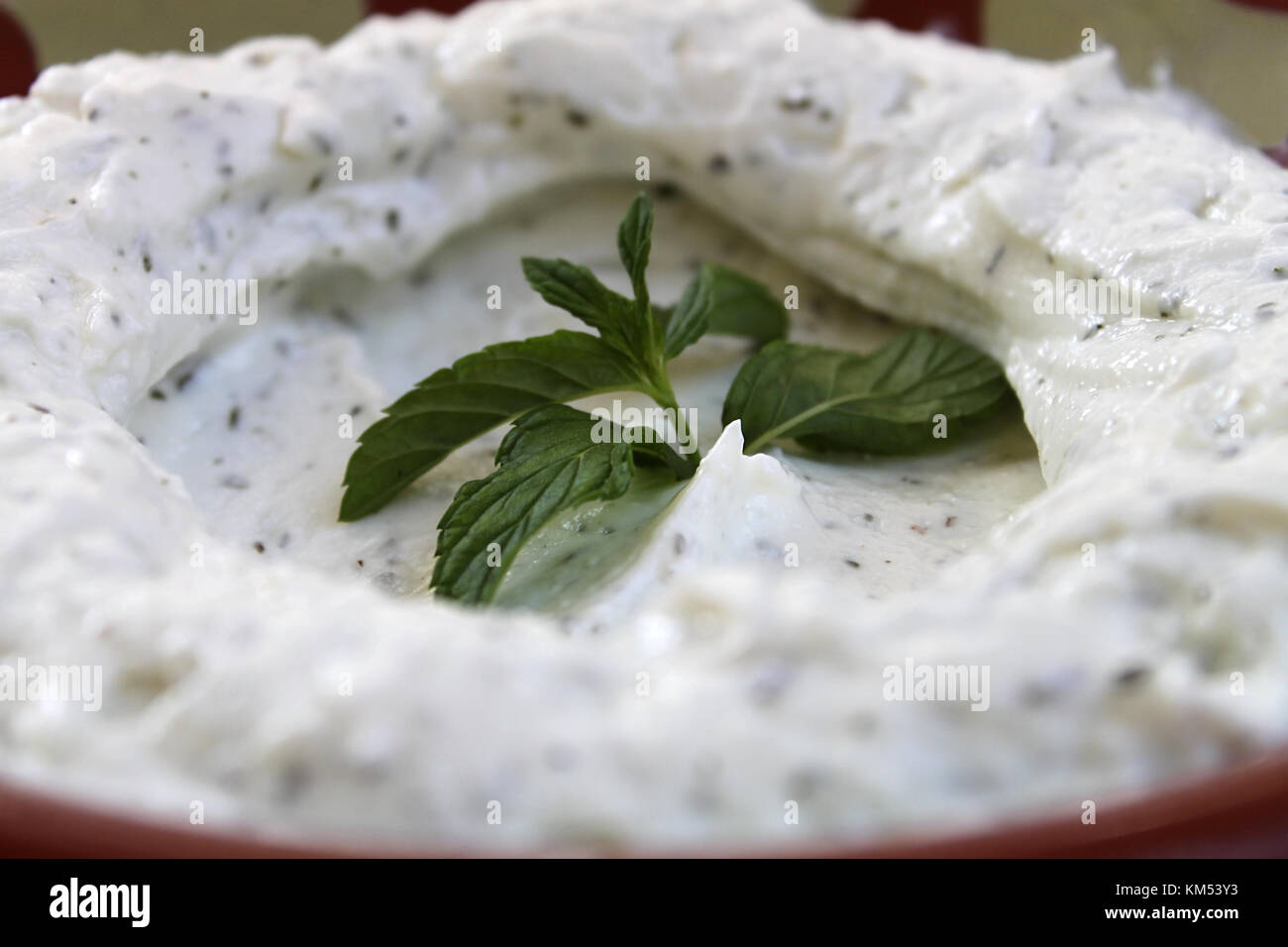 Closeup view of labneh with garlic and mint in a bowl Stock Photo - Alamy