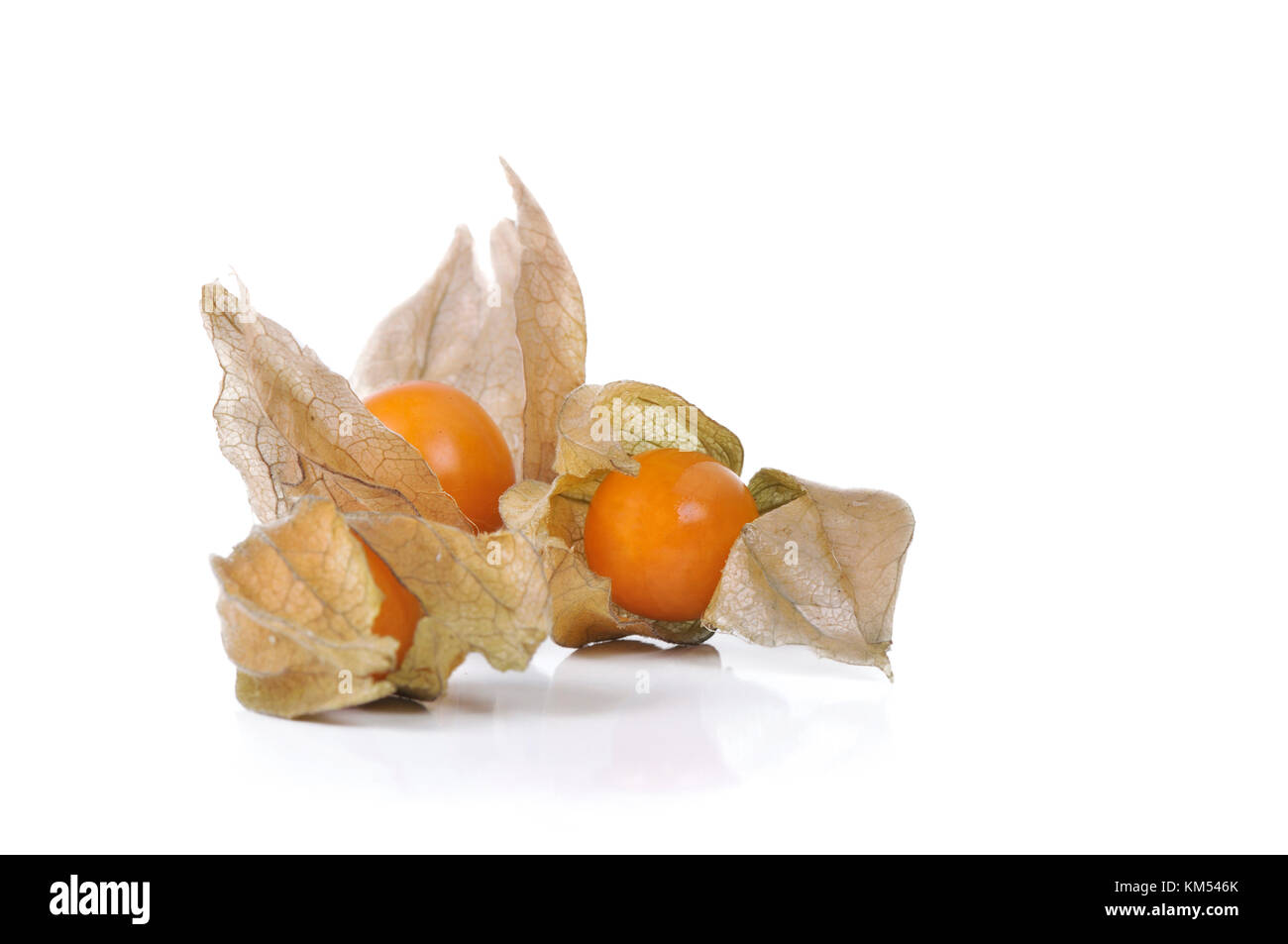 physalis in dried leaf isolated on white background Stock Photo - Alamy