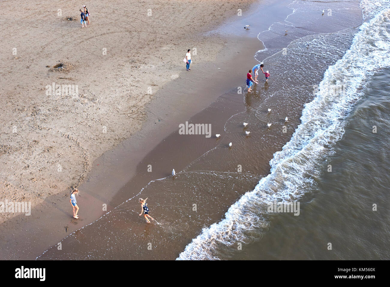 Coastline Scheveningen beach , The Hague Beach, Netherlands Stock Photo ...