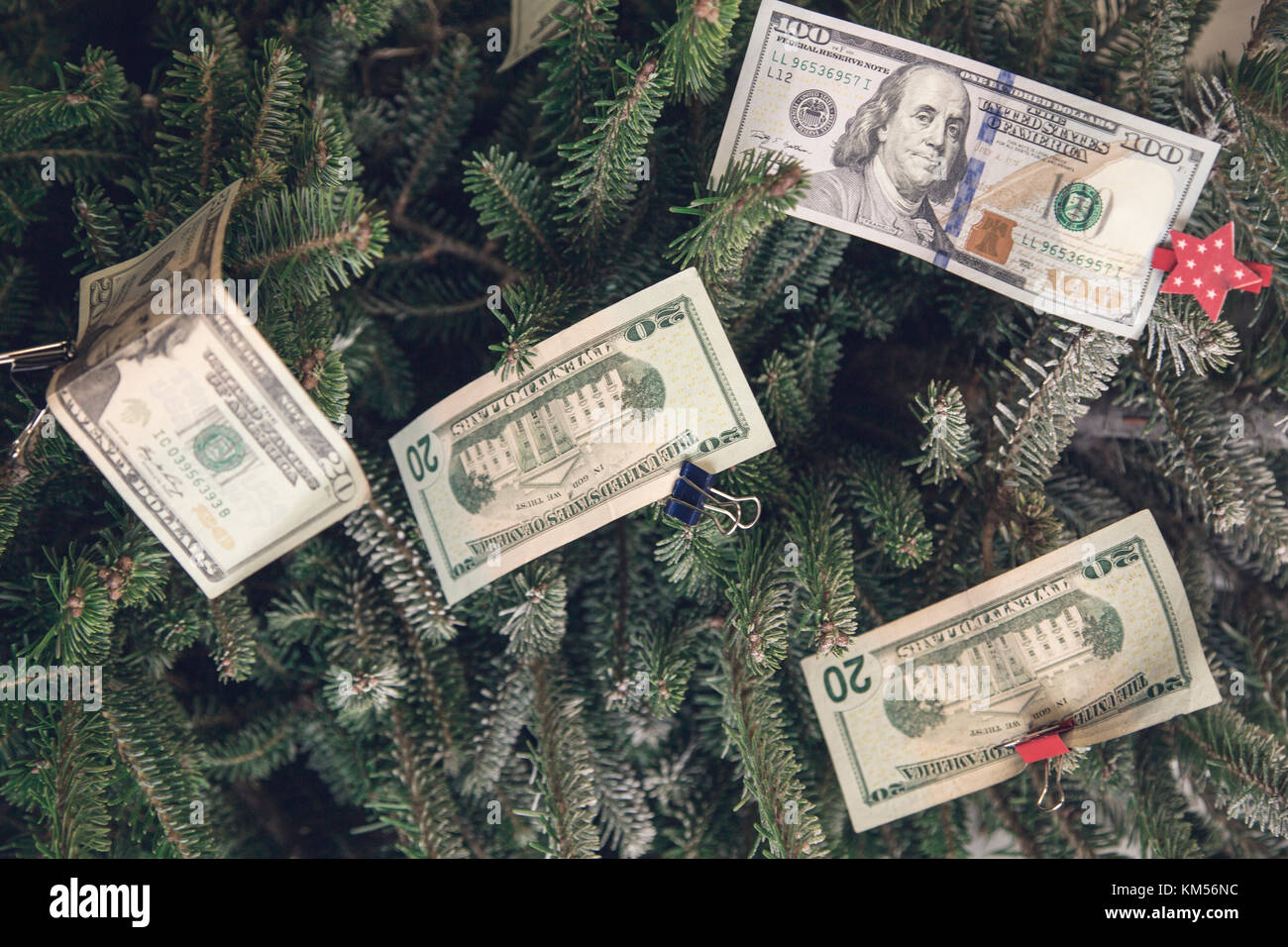 Money on a Christmas-tree Stock Photo - Alamy