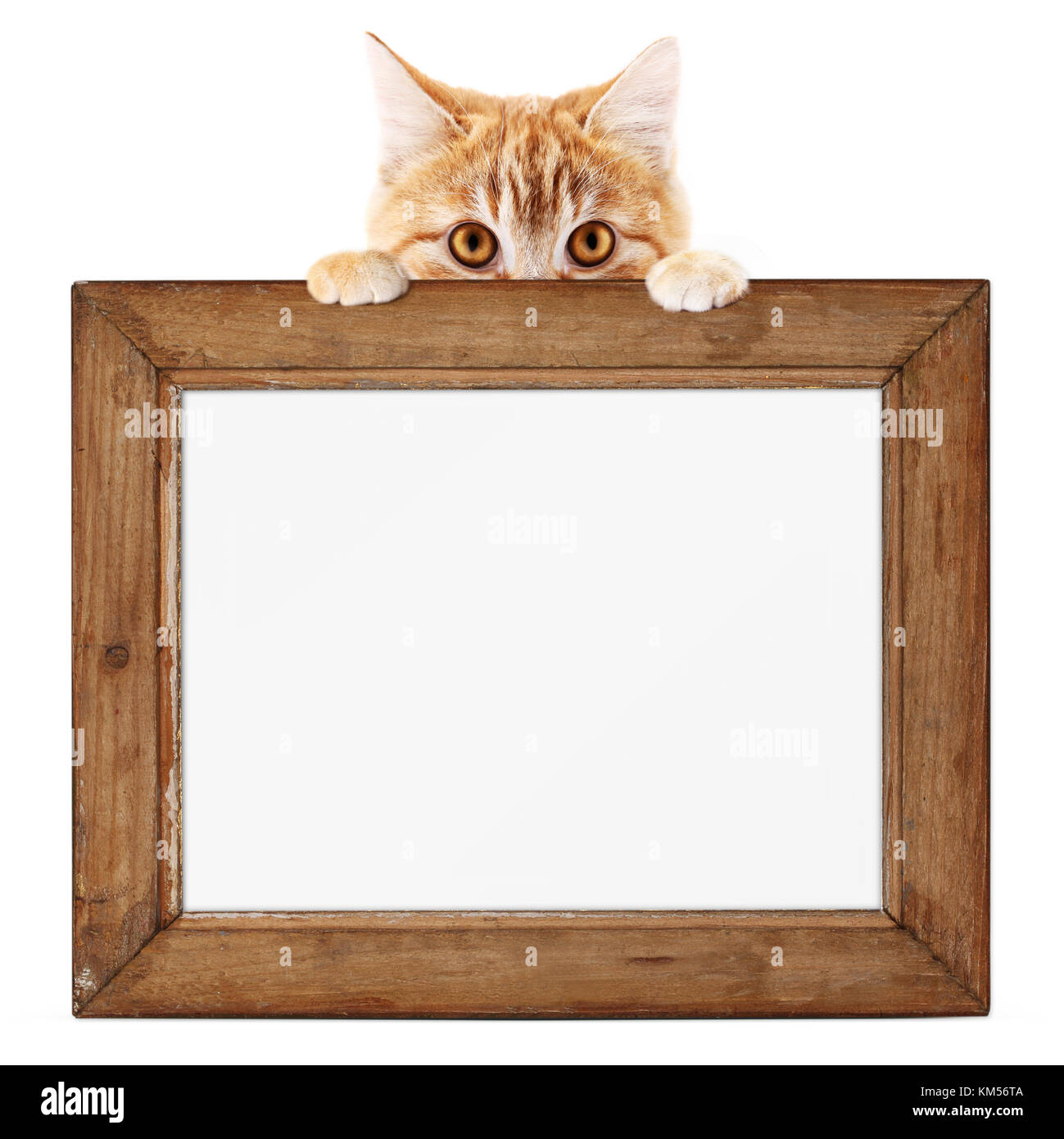 Wooden offer banner Cut Out Stock Images & Pictures - Alamy