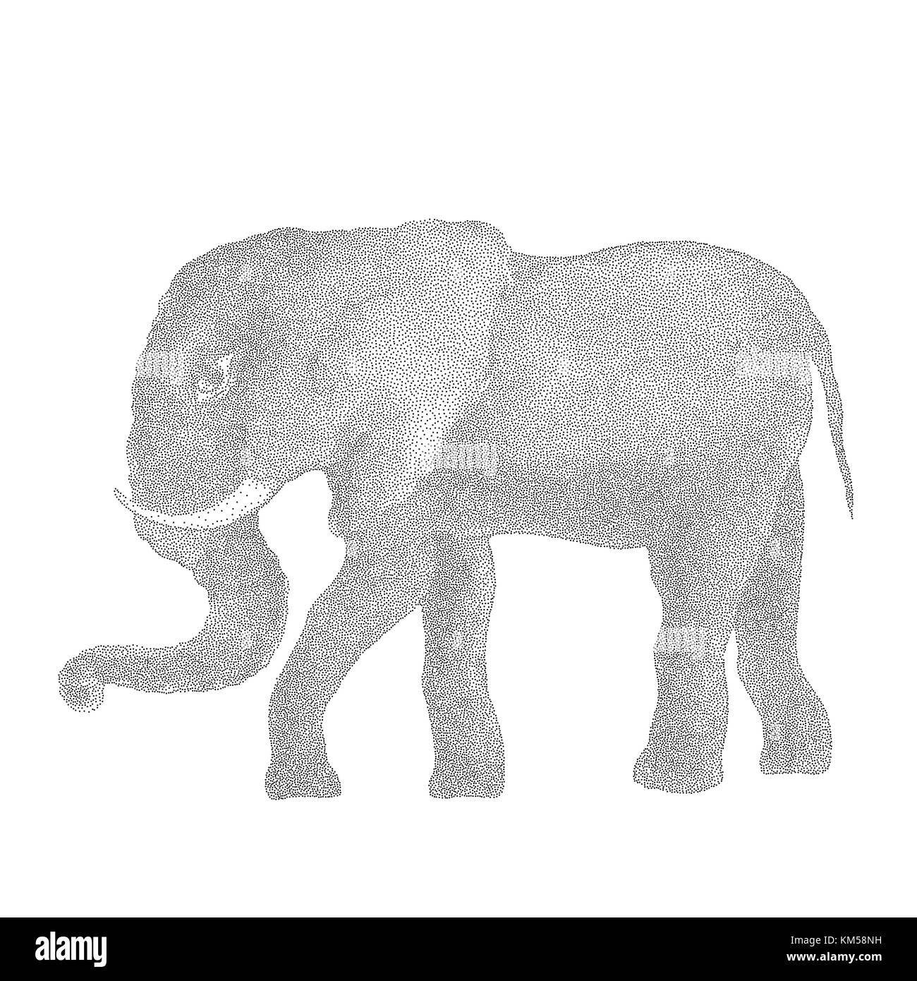 Elephant. Vector illustration Stock Vector Image & Art - Alamy