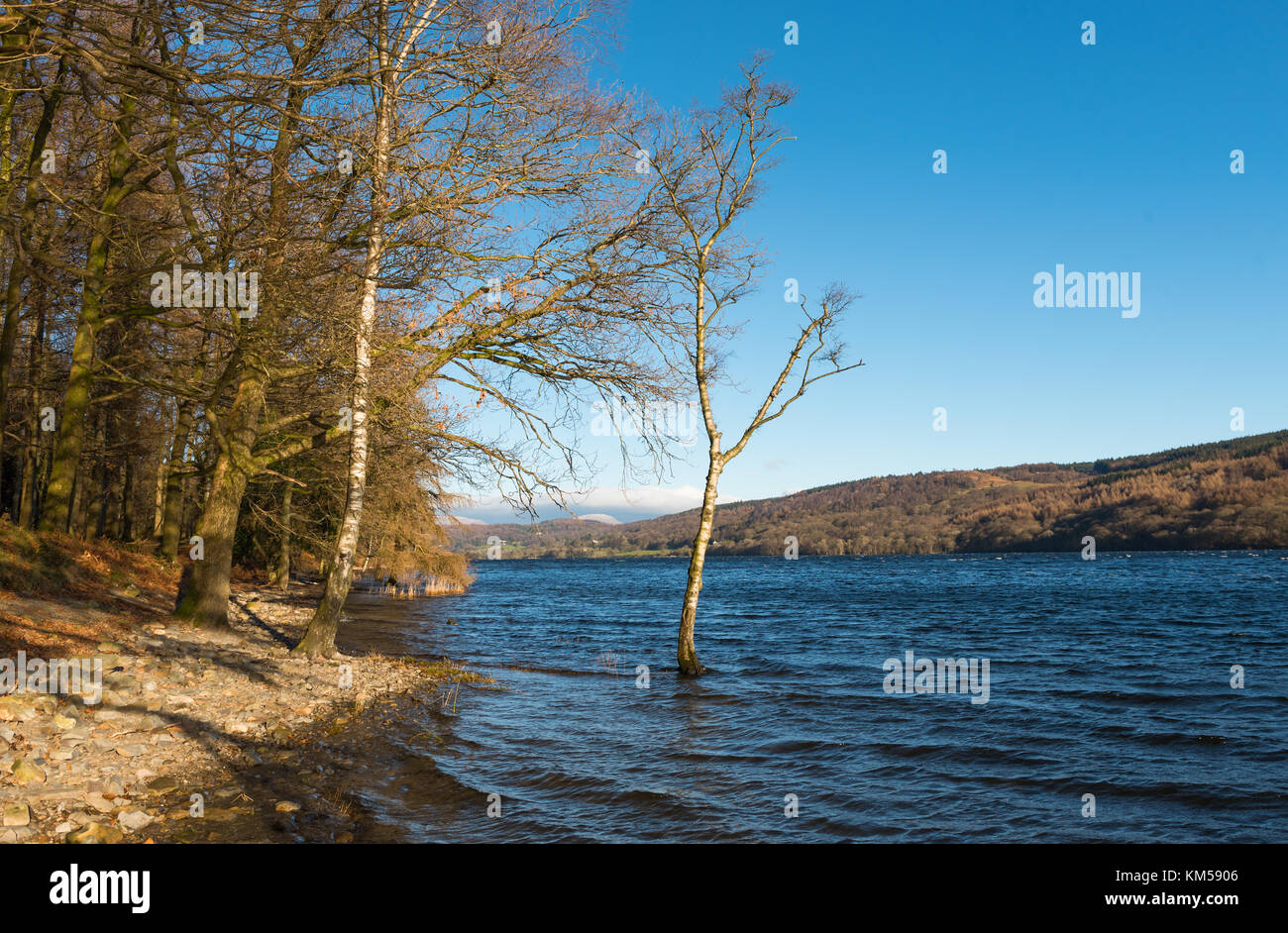 Beach on coniston water hi-res stock photography and images - Alamy
