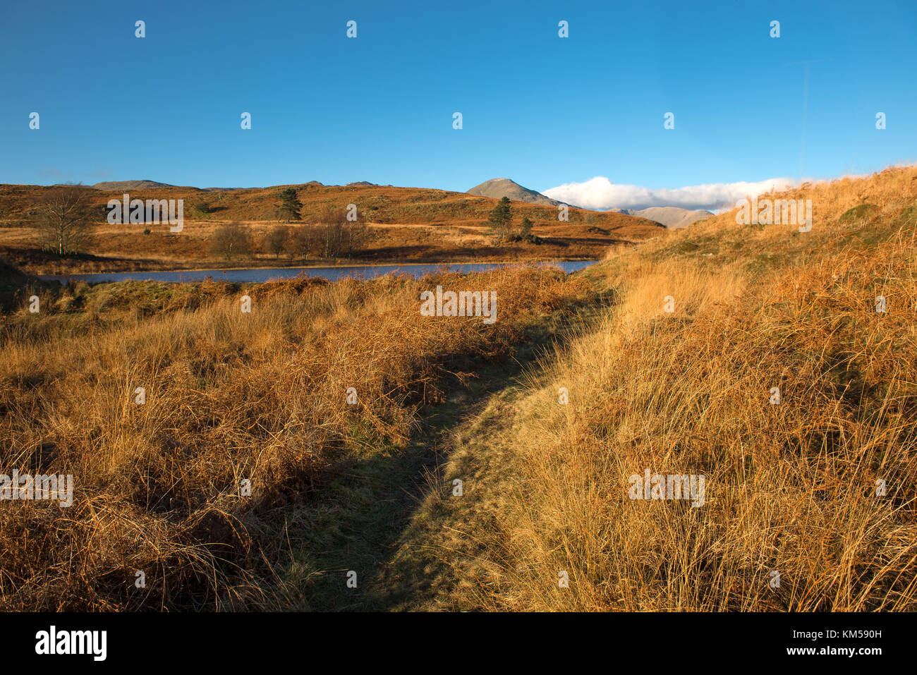 Torver common lake district hi-res stock photography and images - Alamy