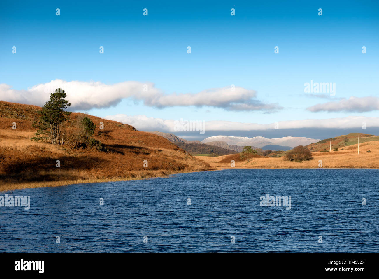 Torver Common near Coniston Cumbria Stock Photo - Alamy
