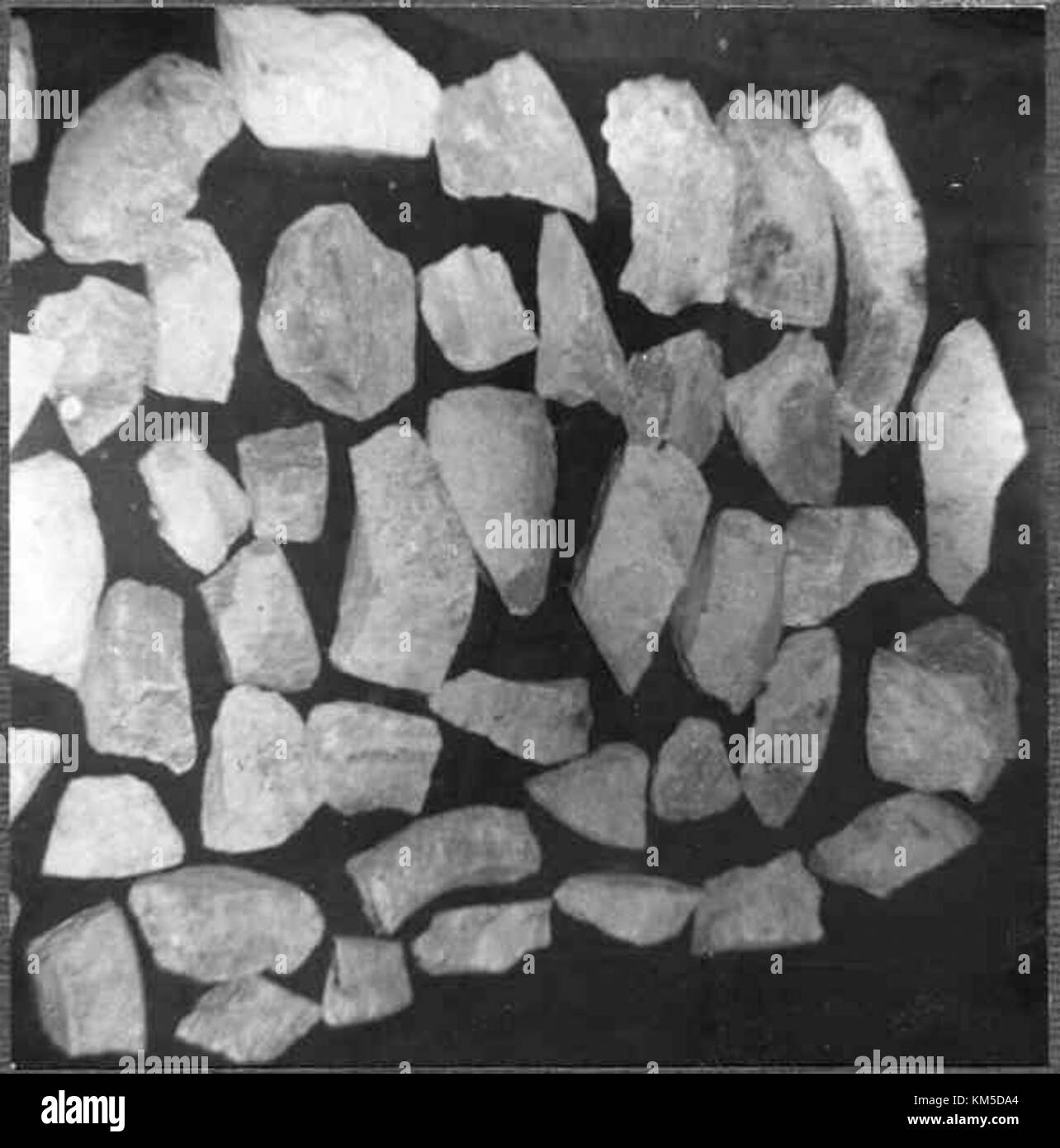 Distinguished example hi-res stock photography and images - Alamy