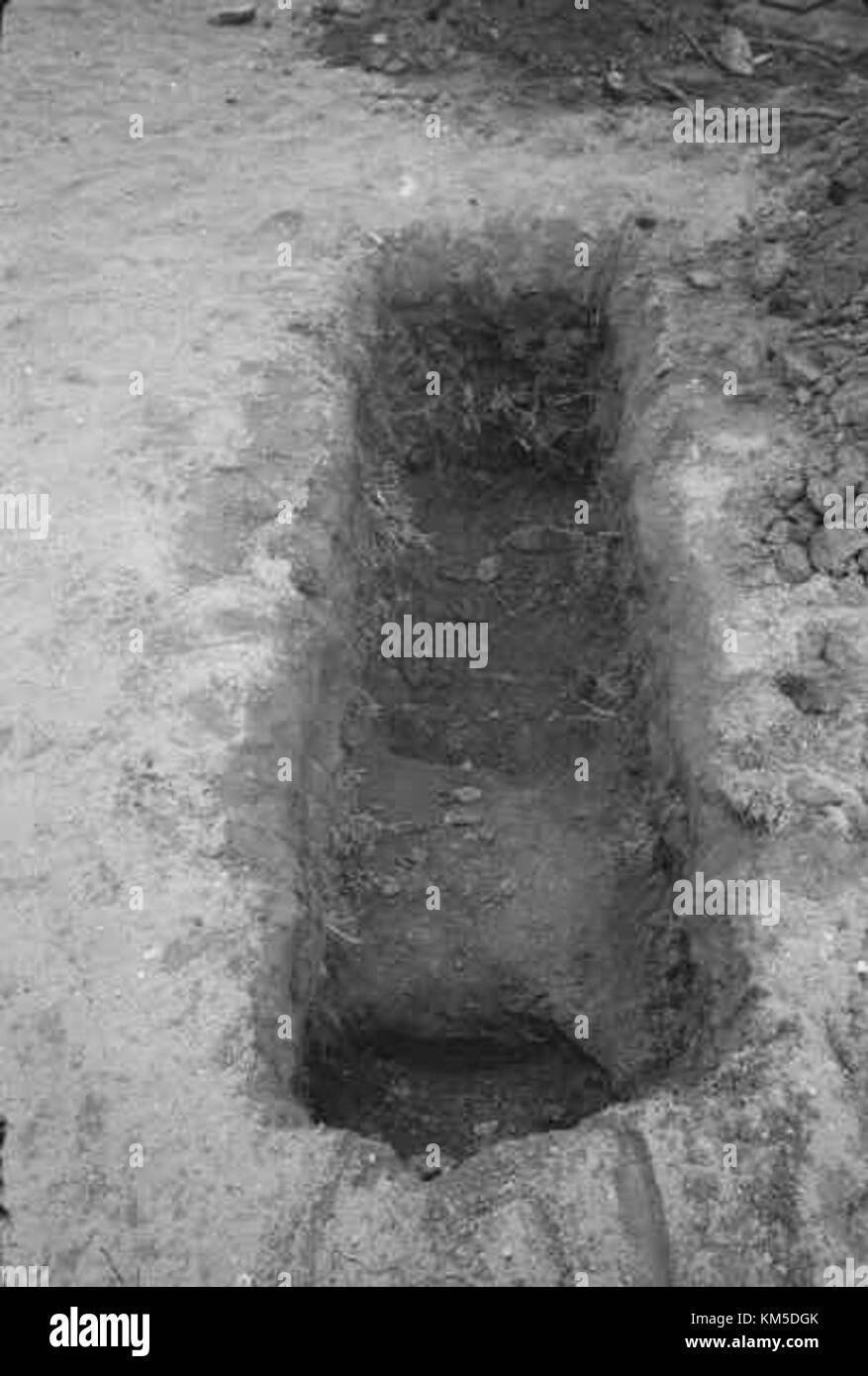 A photograph of the Nydala Abbey Ruins in Sweden, documenting its ...