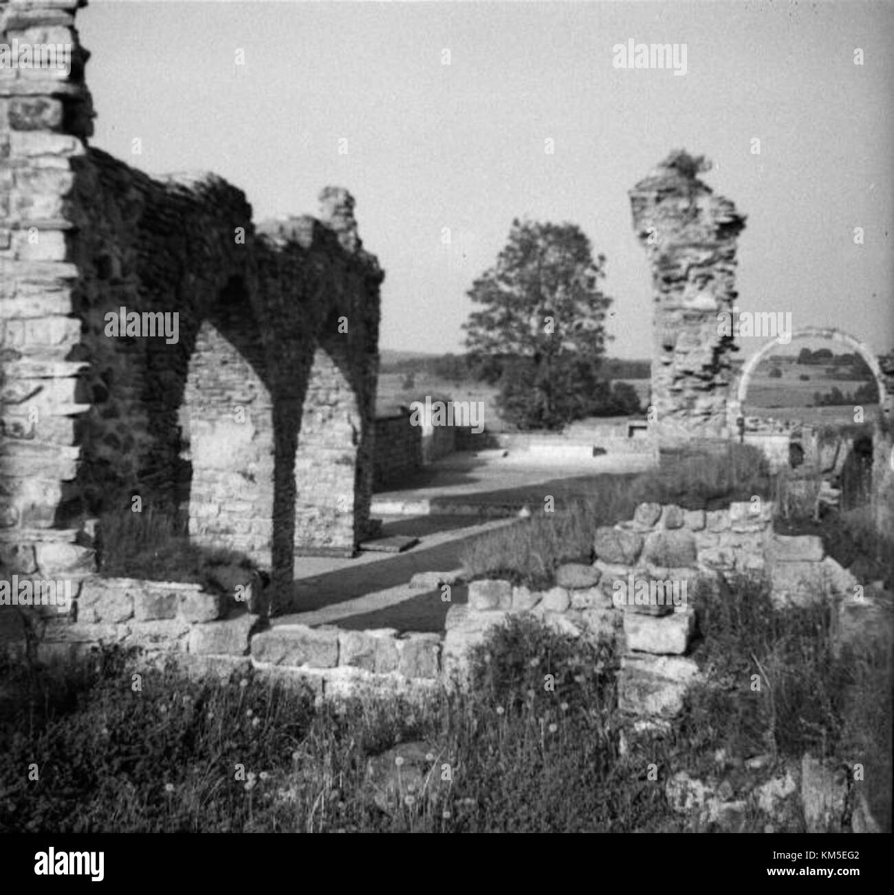 A photograph of the Gudhem Abbey ruins in Sweden, captured as part of a ...