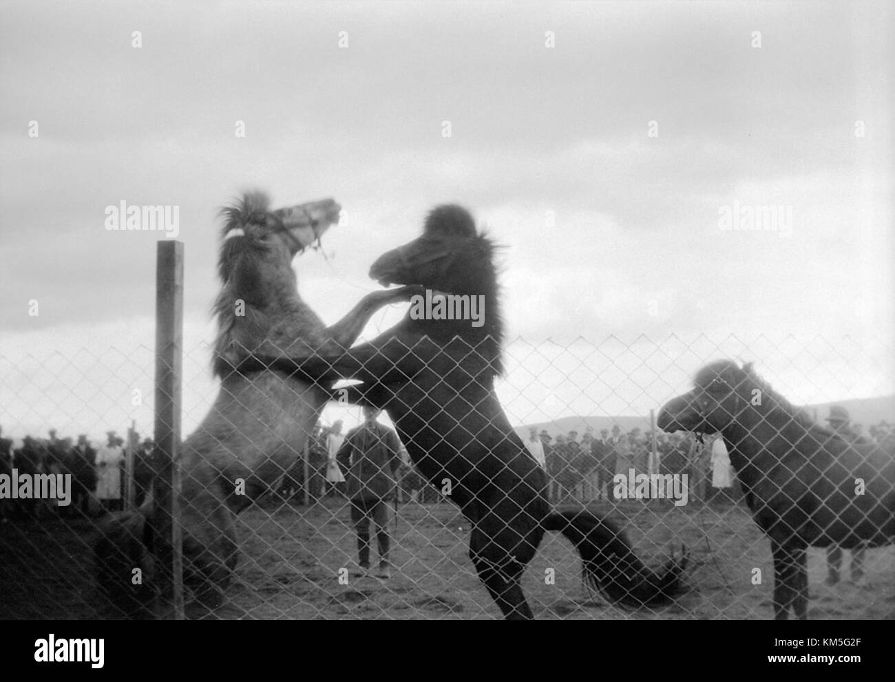 Tectonic landforms Black and White Stock Photos & Images - Alamy