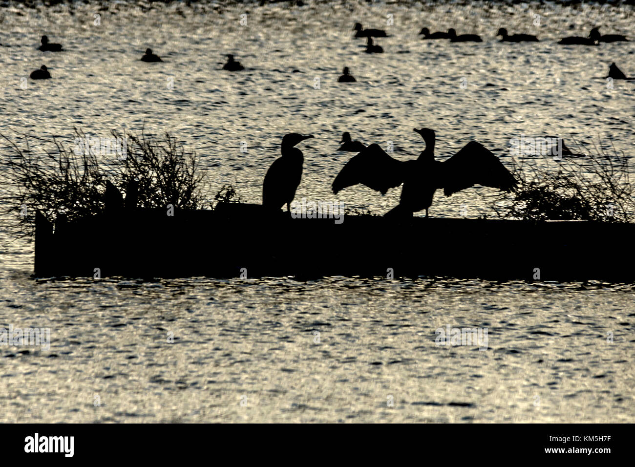 Oakham. 4th Dec, 2017. UK Weather. Bright autumn day with drama in the ...